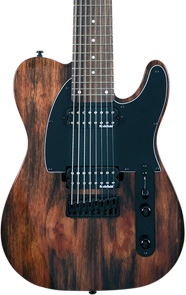 Triad 10E, 10 String Acoustic Guitar | Michael Kelly Guitar Co.