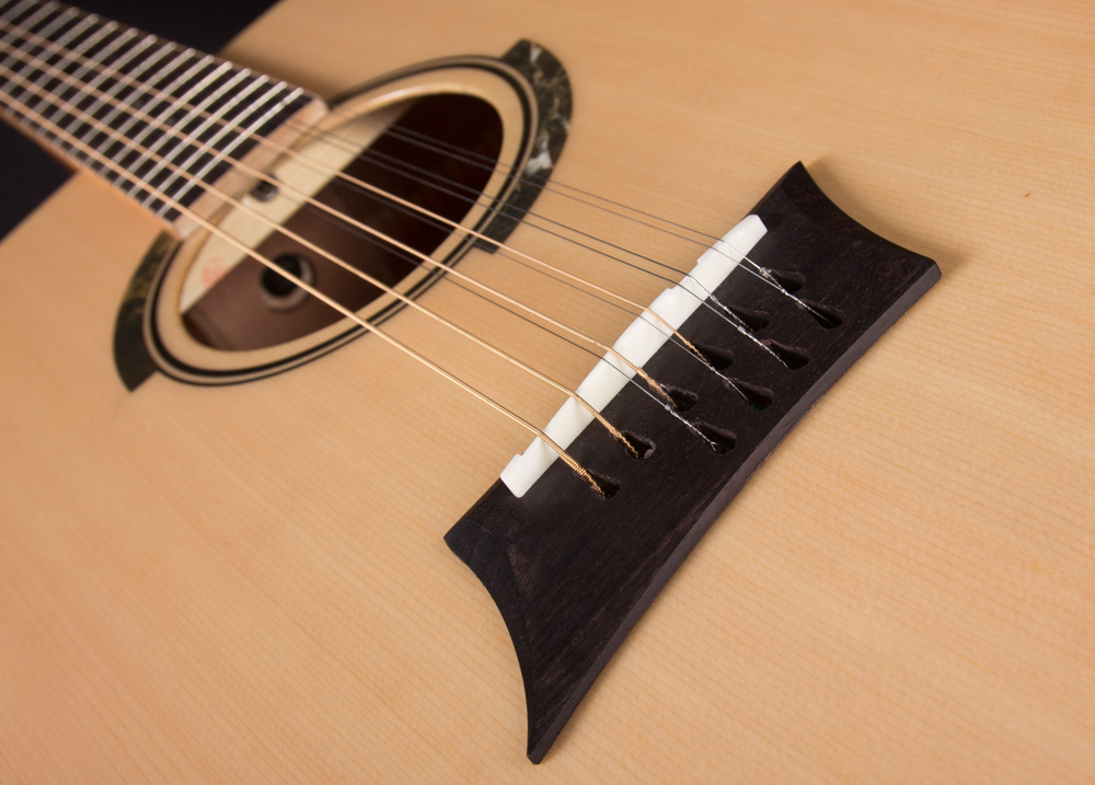 Triad 10E, 10 String Acoustic Guitar | Michael Kelly Guitar Co.