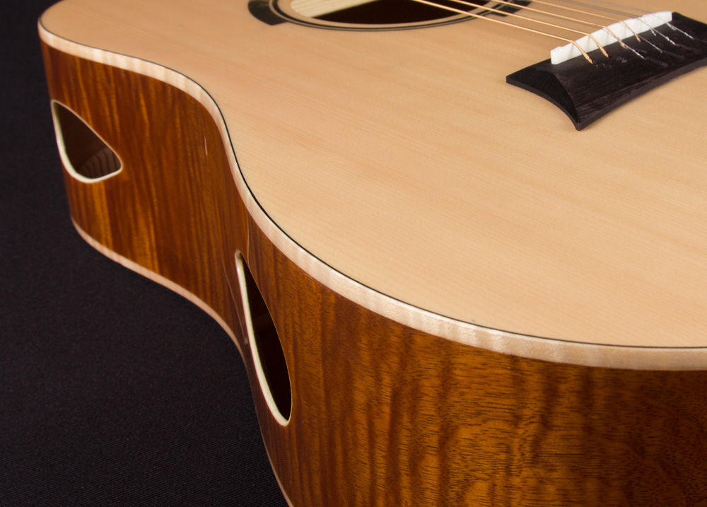 Triad 10E, 10 String Acoustic Guitar | Michael Kelly Guitar Co.