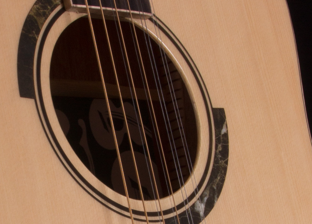 Triad 10E, 10 String Acoustic Guitar | Michael Kelly Guitar Co.