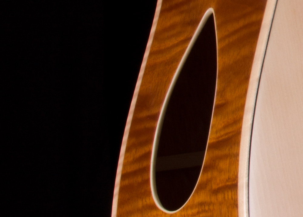 Triad 10E, 10 String Acoustic Guitar | Michael Kelly Guitar Co.