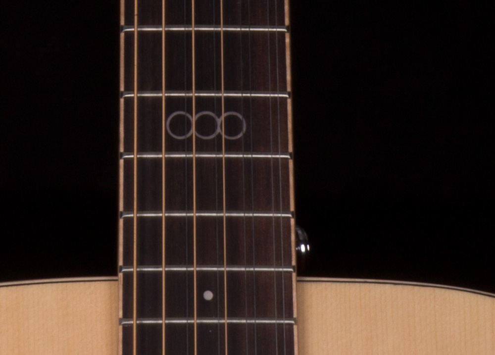 Triad 10E, 10 String Acoustic Guitar | Michael Kelly Guitar Co.