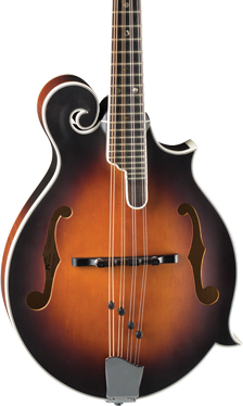 F Style Mandolins | Michael Kelly Guitar Co.